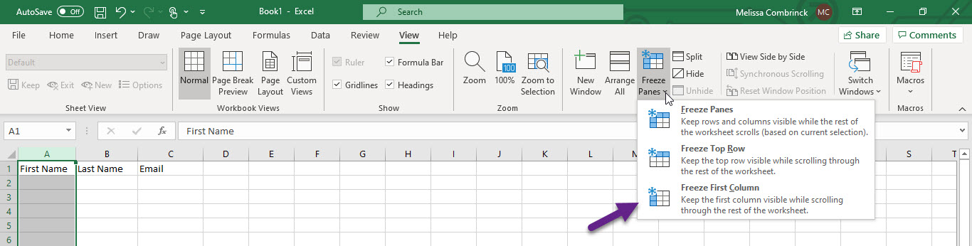 Make Excel Spreadesheets Easier To Read By Freezing Columns ValuSource Support