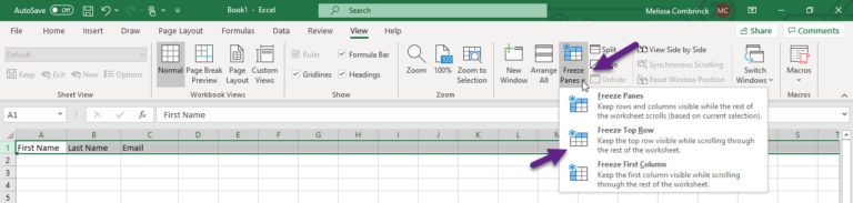 Make Excel Spreadesheets Easier to Read by Freezing Rows - ValuSource Support