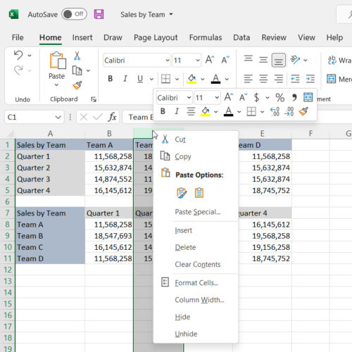 Cut And Paste Excel 1 Valusource Support